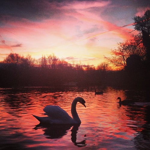 Tooting Bec Common - Tooting Bec Rd - London