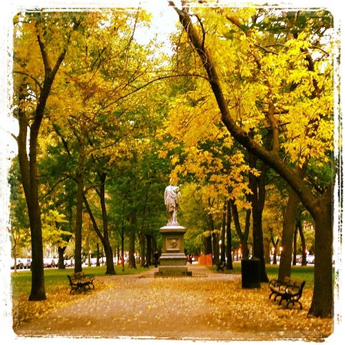Commonwealth Avenue Mall - Commonwealth Ave. - Boston
