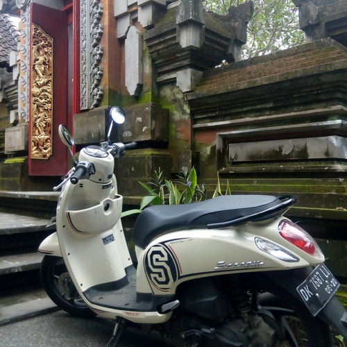 Jati 3 Bungalows and Spa - Jl. Monkey Forest - Ubud