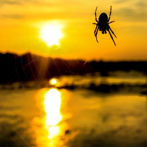 Boulevard Bridge (Nickel Bridge) - Virginia State Route 161 - Richmond