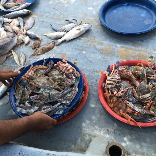 Pasar Bisik - Kuala Sungai Muda - Penaga