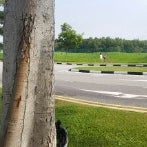 UMC - 3 Pasir Ris Drive 12 - Kampong Pasir Ris