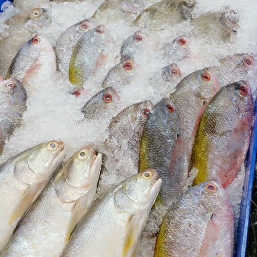 NTUC FairPrice - #B1-01, Yew Tee Point - Singapore