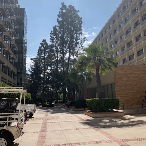 UCLA Hedrick Summit - 240 De Neve Dr. - Los Angeles
