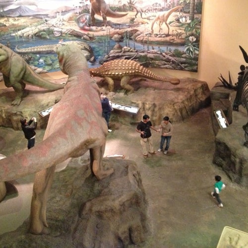 Fernbank Museum of Natural History - 767 Clifton Rd NE - Atlanta