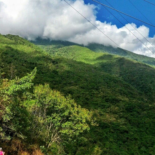 Parque Nacional El Ávila - Sector Sabas Nieves - Caracas