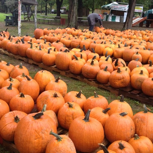 Patterson Fruit Farm - 11414 Caves Rd - Chesterland