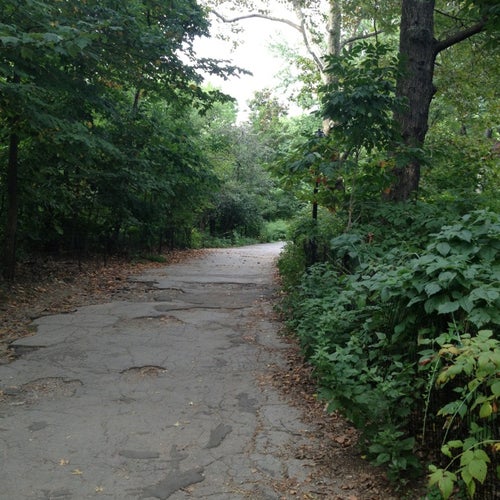 The Ramble - Central Park - New York