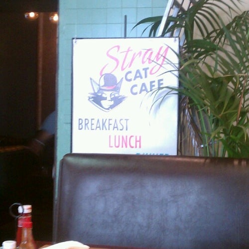 Stray Cat Cafe - 500 S Spring St - Los Angeles