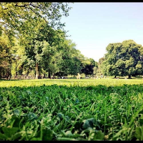 Prospect Park Ball Fields - West Dr - Brooklyn