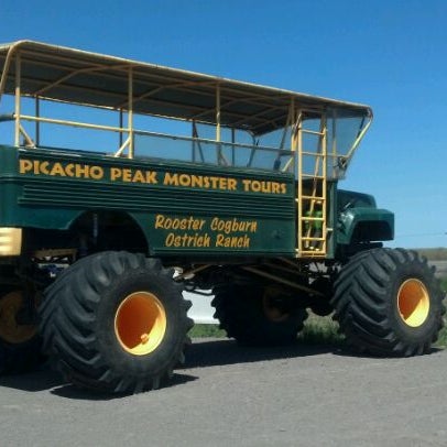 Rooster Cogburn Ostrich Ranch - 17599 E. Peak Ln. - Picacho