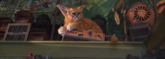 Eeylops Owl Emporium - Attraction in Universal Studios