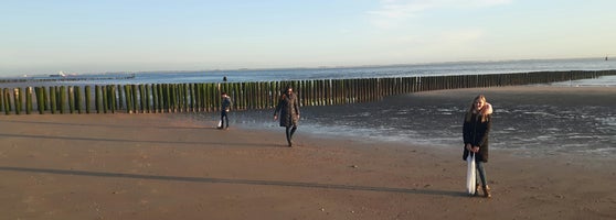 Strand Dishoek - 4 tips from 787 visitors