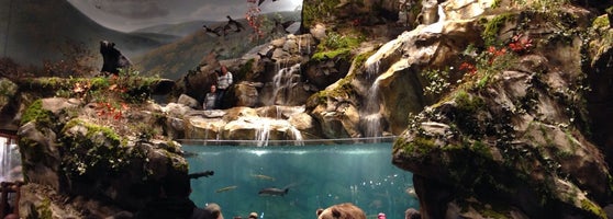 Bass Pro Shops - Little Rock, AR