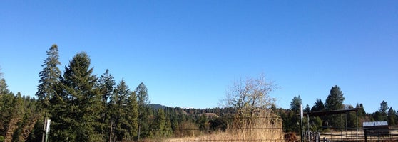 Roberts Christmas Tree Farm - Camino, CA