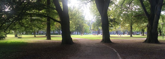 Stadspark - 14 tips from 2188 visitors