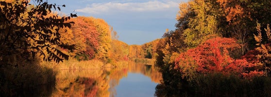 Parc Angrignon - Park in Le Sud-Ouest