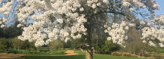 Hylands Park - 6 tips from 683 visitors