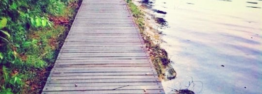 MacRitchie Reservoir Park - Central Catchment Nature Reserve - 62 tips