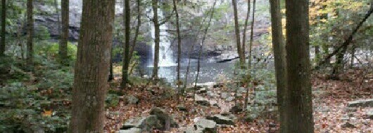 Foster Falls State Natural Area - 498 Foster Falls Rd