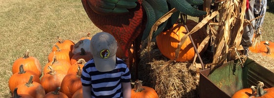 Hall Pumpkin Farm - 13 tips