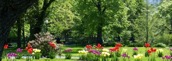 Halifax Public Gardens - Downtown Halifax - 5701 Spring Garden Road