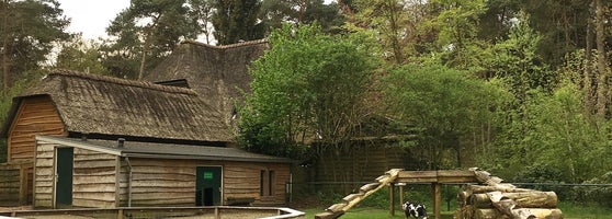 Landal Heideheuvel - Resort