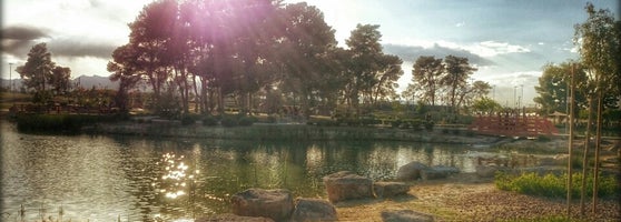 Craig Ranch Regional Park - 22 tips