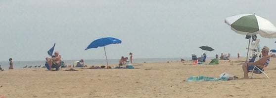 Poodle Beach - Rehoboth Beach, DE