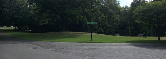 Springfield Park - Springfield - Springfield