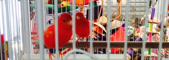 Flea World (Now Closed) - Flea Market