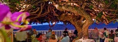 Hau Tree Lanai Restaurant - American Restaurant in Diamond Head ...