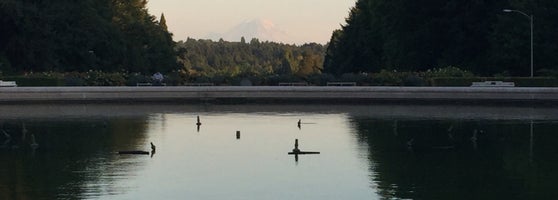 UW: Drumheller Fountain - University District - 11 tips from 1427 visitors