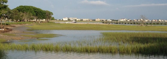 Murrells Inlet Marsh Walk - 19 tips