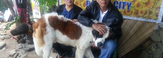 Mines View Park - Scenic Lookout