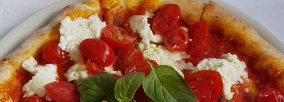 Golden View Open Bar - Michelangelo - 134 tips