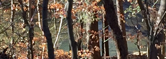 Lorimer Park - 4 tips from 370 visitors