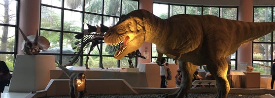 國立自然科學博物館 National Museum of Natural Science - Science Museum
