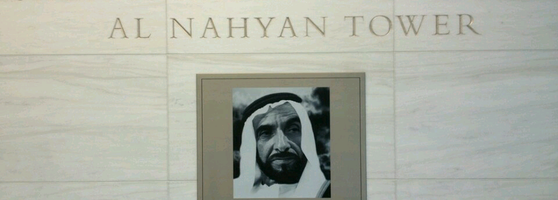 Sheikh Zayed Tower - Hospital in Eastern Baltimore