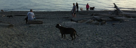 Edmonds Off-Leash Dog Park - Dog Park