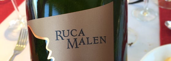 Bodega Ruca Malen - Winery in Mendoza