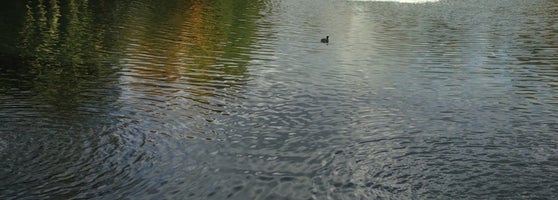 Anthony's Fish Grotto - Seafood Restaurant