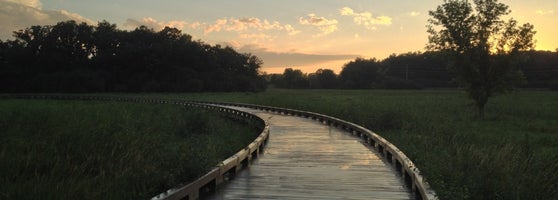 Cuba Marsh Forest Preserve - Nature Preserve