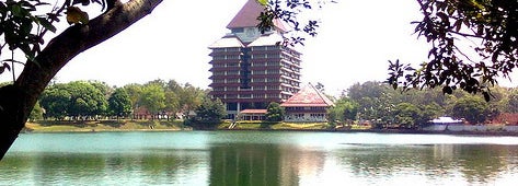 Danau Universitas Indonesia - Lake in Depok