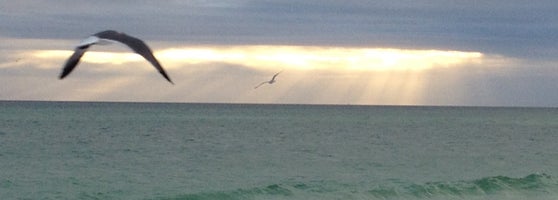 North Lido Beach - Lido Key - Sarasota, FL