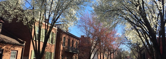 Soulard - St Louis, MO