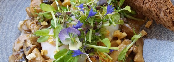 Harvest Espresso - Café