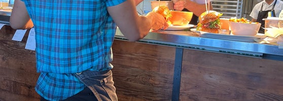 Wolf in the Fog - 24 tips from 517 visitors