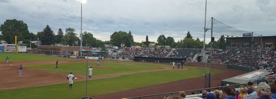 Melaleuca Field - 8 tips