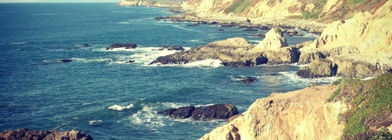 Bodega Head - 11 tips from 1222 visitors